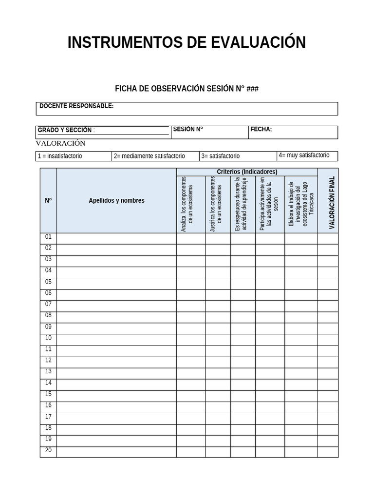 Instrumentos de Evaluacion | PDF | Evaluación | Diseño