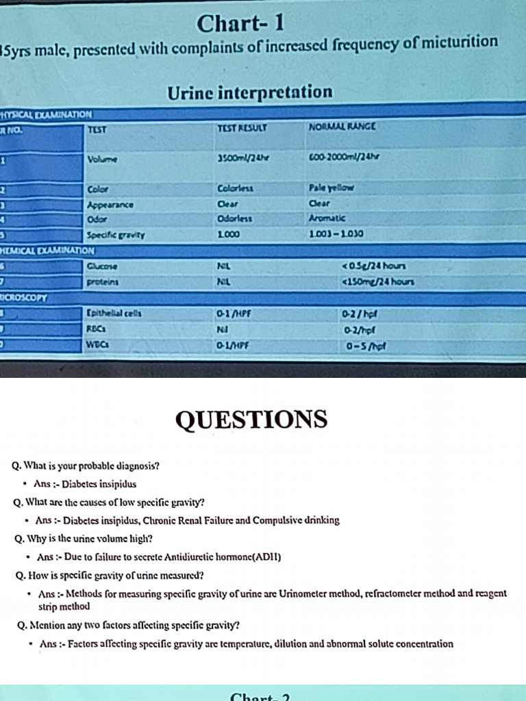 Urine Report Interpretation | PDF | Human Anatomy | Medical Specialties
