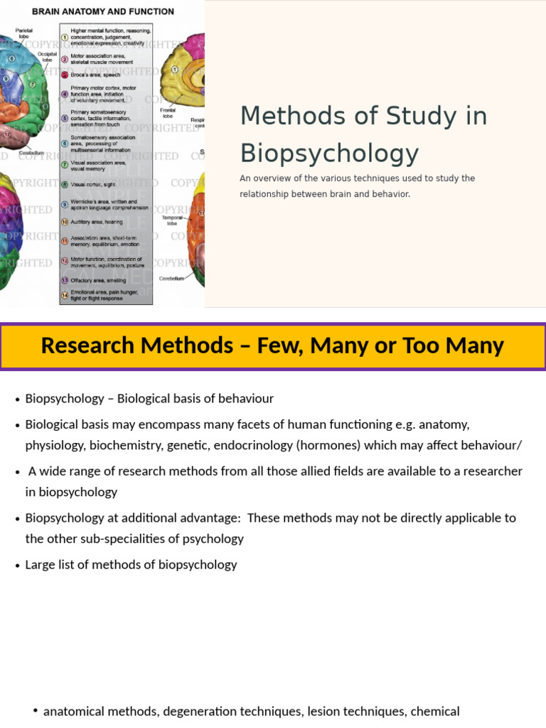Biopsychology Research Methods Overview | PDF | Ct Scan | Medical Imaging