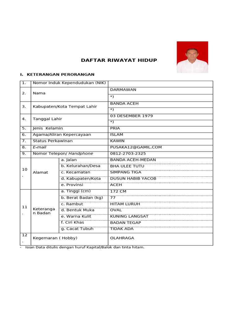 Daftar Riwayat Hidup P3K | PDF