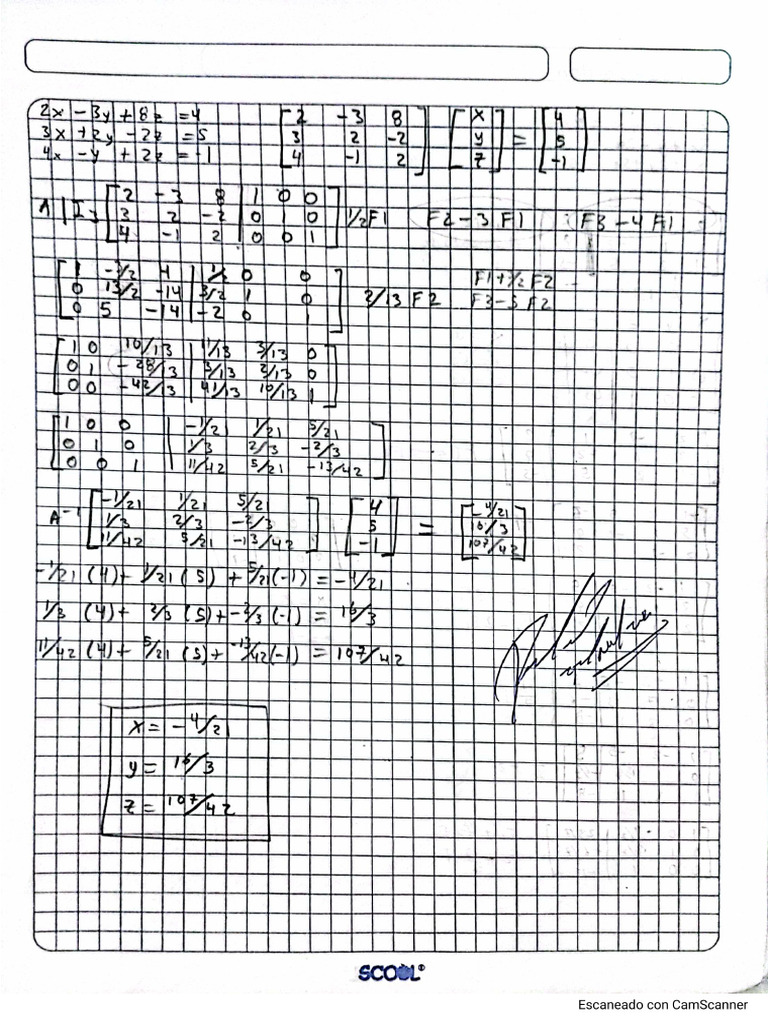 Ejercicios resueltos matrices | PDF