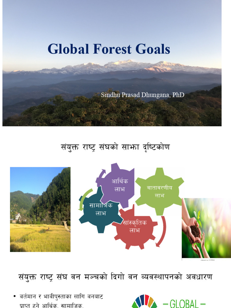 Global Forest Goals Overview | PDF
