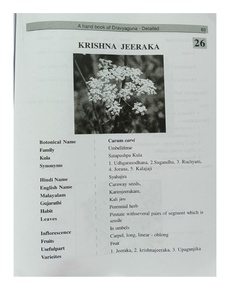 Krishna-jeeraka | PDF