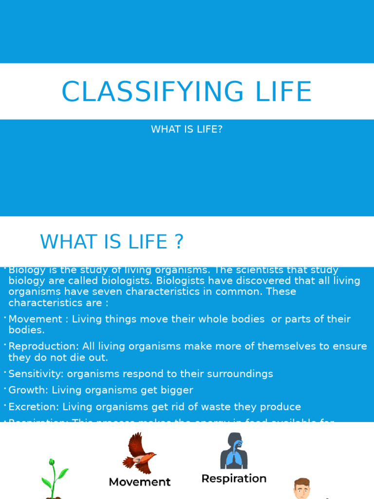 Classifying Life Year 7 | PDF | Plants | Invertebrate