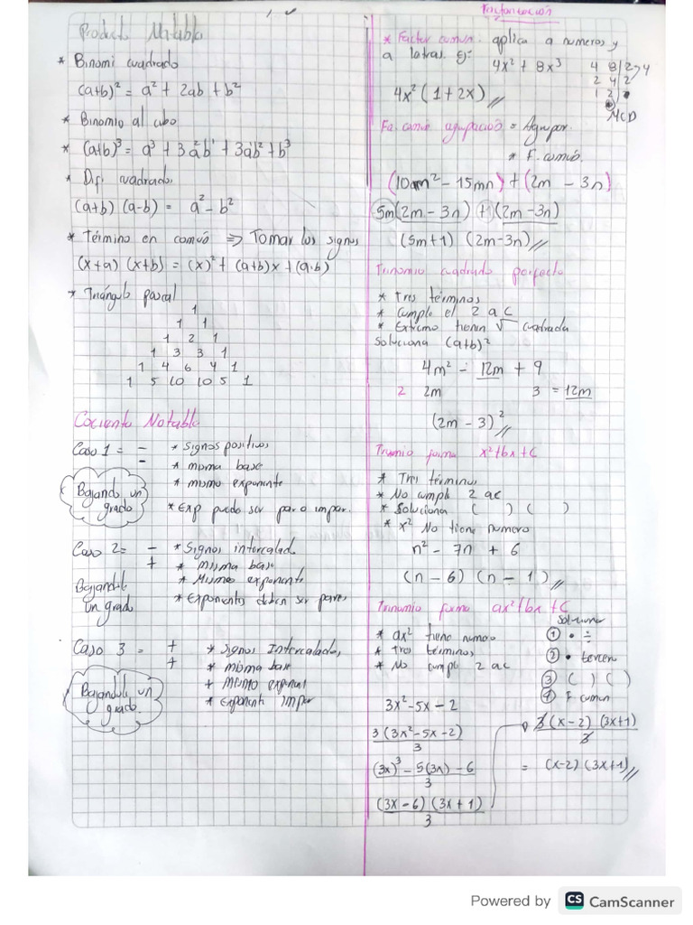 Caracter Í Sticas | PDF