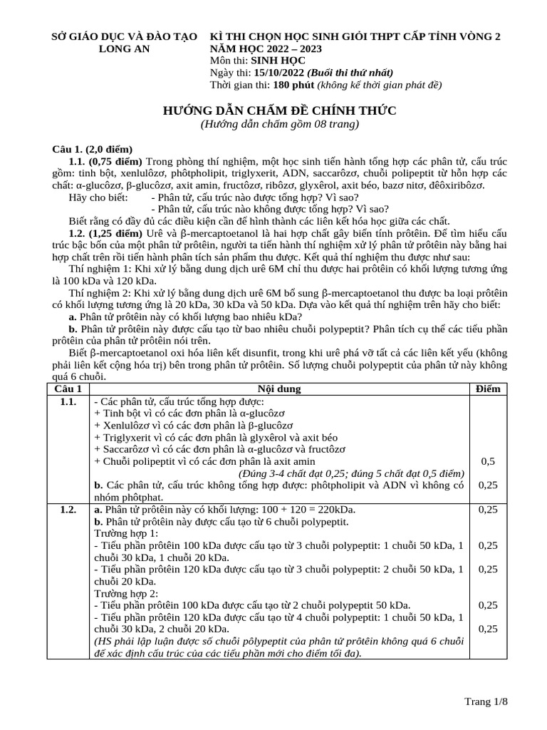 2022 - 2023 - Long An N1 V2 - HDC | PDF