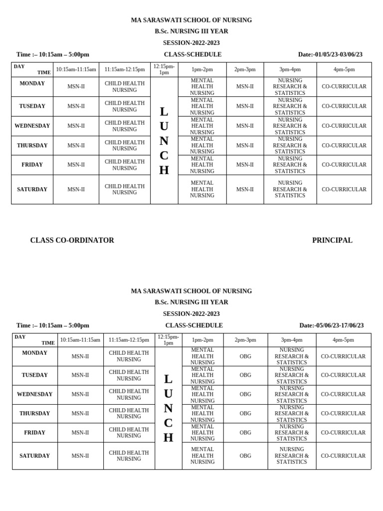 B.Sc. III YEAR CLASS SCHEDULE 22-23 | PDF