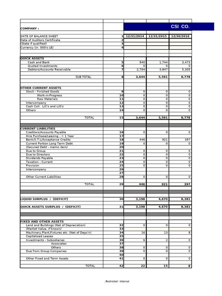 CSI Co. Spreading - Group Work | PDF | Balance Sheet | Business