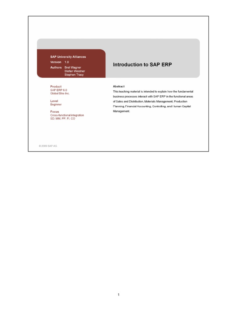 01 Intro ERP Using GBI All Slides | PDF | Invoice | Sap Se