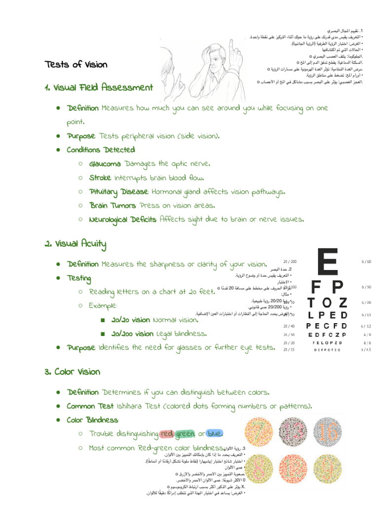Lect 13 Physiology | PDF