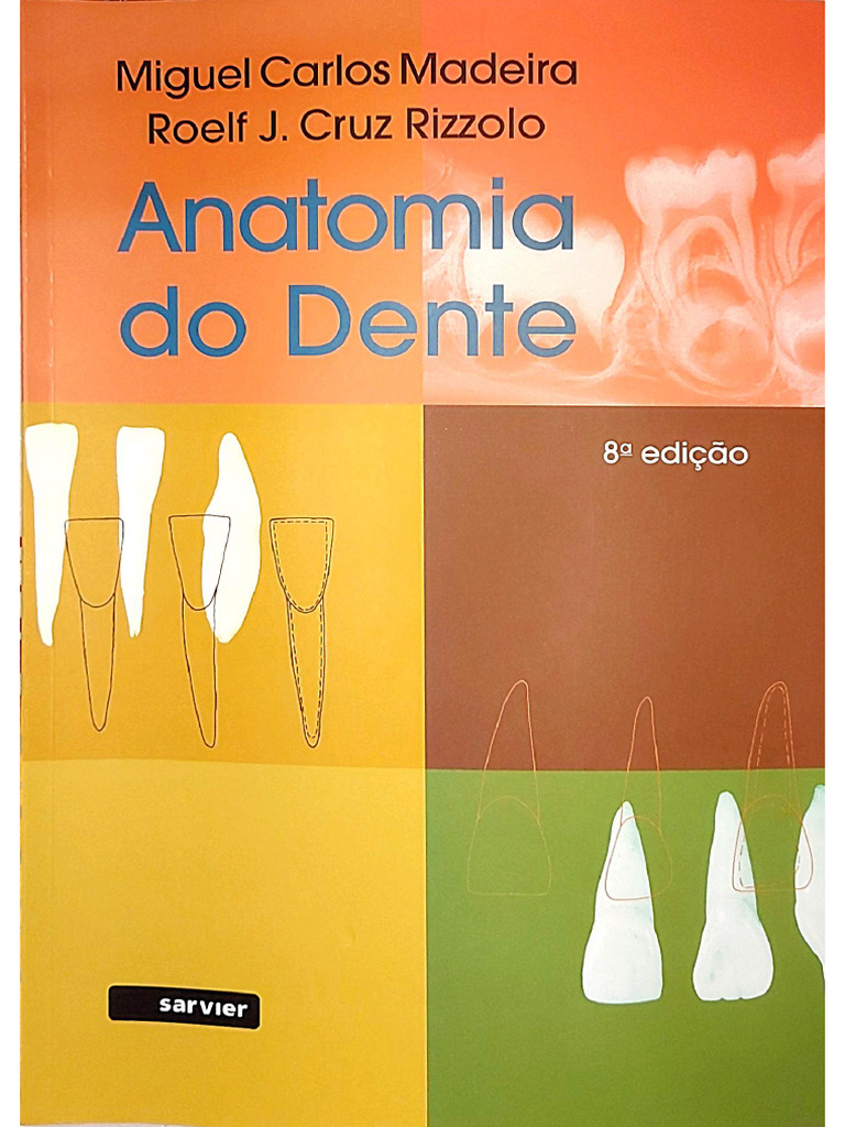 Anatomia Do Dente 8 Edição | PDF