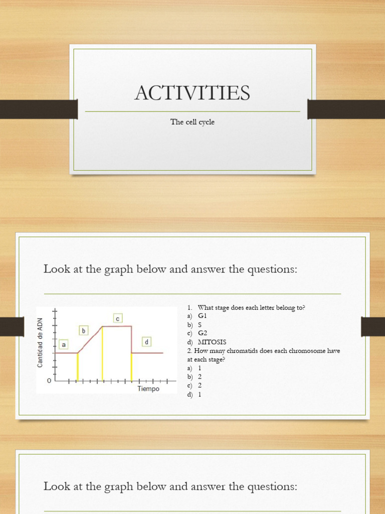 Cell cycle Activities | PDF