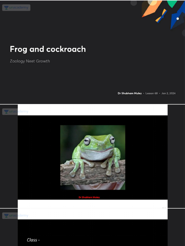Frog and Cockroach | PDF