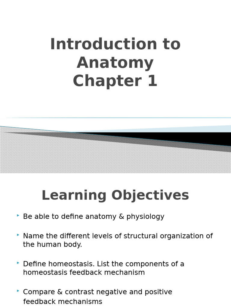 Anatomy & Physiology Basics | PDF | Anatomical Terms Of Location | Anatomy