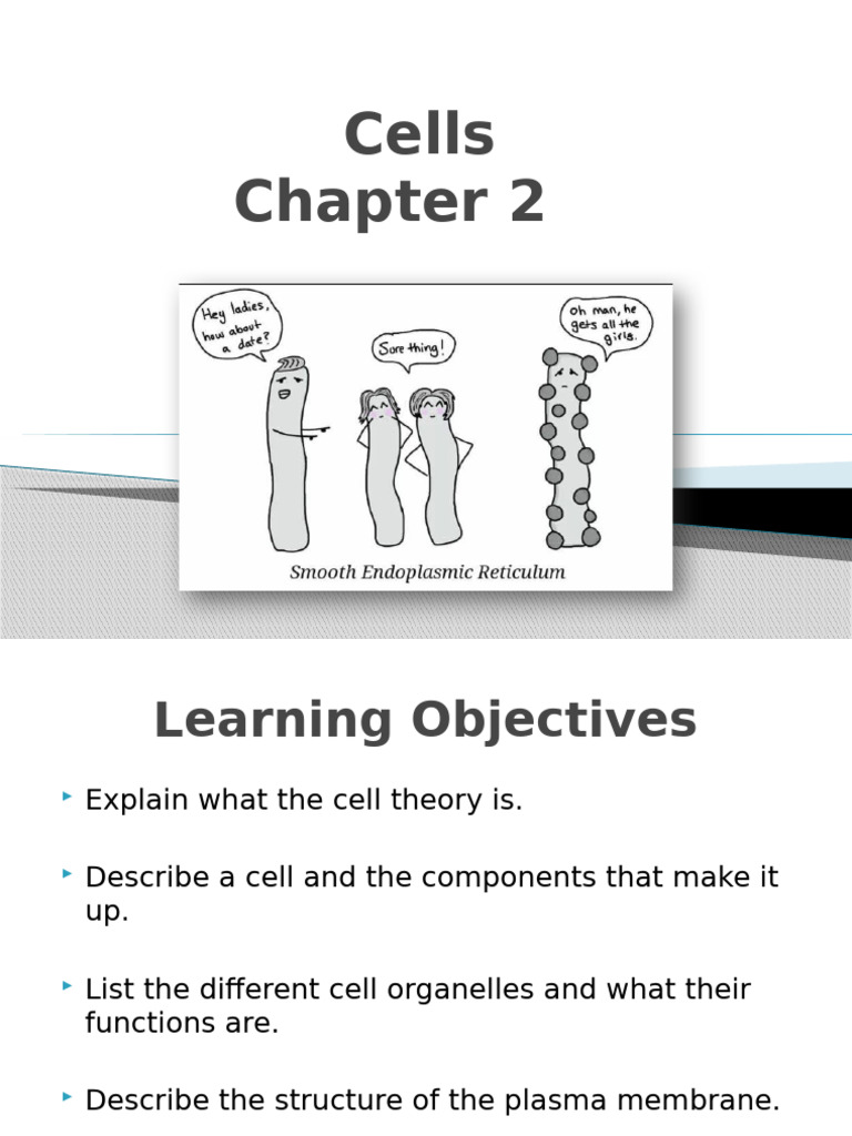 2 - Bio 5 Ch. 2 Cells-1 - Tagged | PDF | Cell Membrane | Cell (Biology)