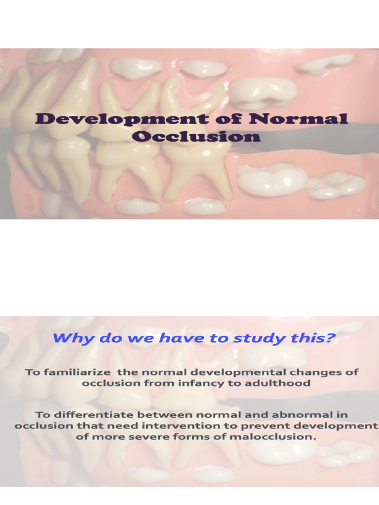 Developmental of Normal Occlusion | PDF