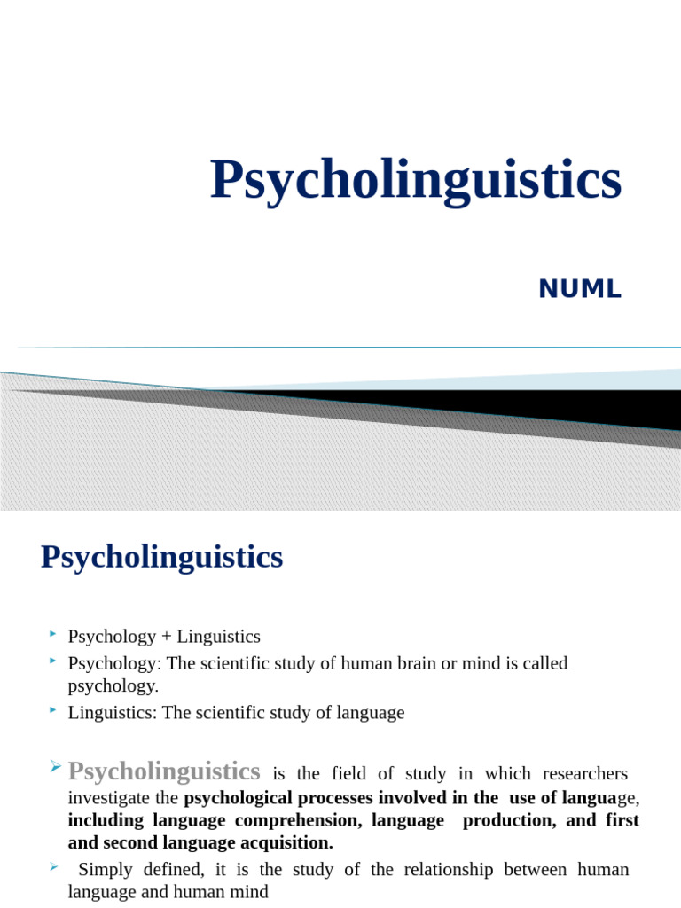 Psycholinguistics for Researchers | PDF