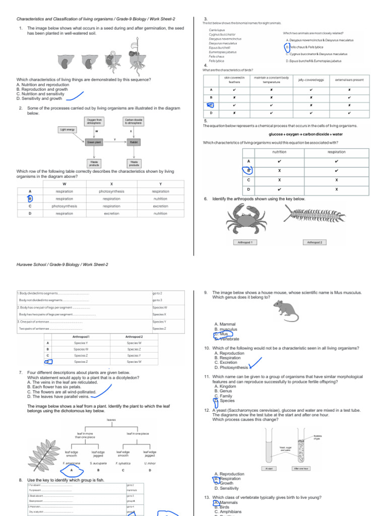 Topic-1 Work Sheet2 Answered | PDF | Leaf | Reproduction