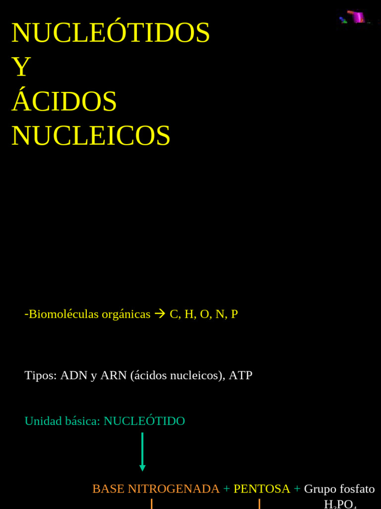 Ácidos Nucleicos | PDF | Rna | Adn