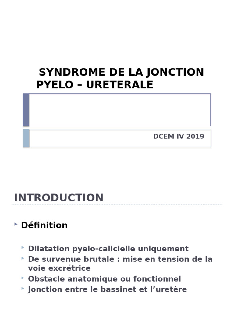 Syndrome de La Jonction Pyelo - Ureterale | PDF | Rein | Médecine clinique