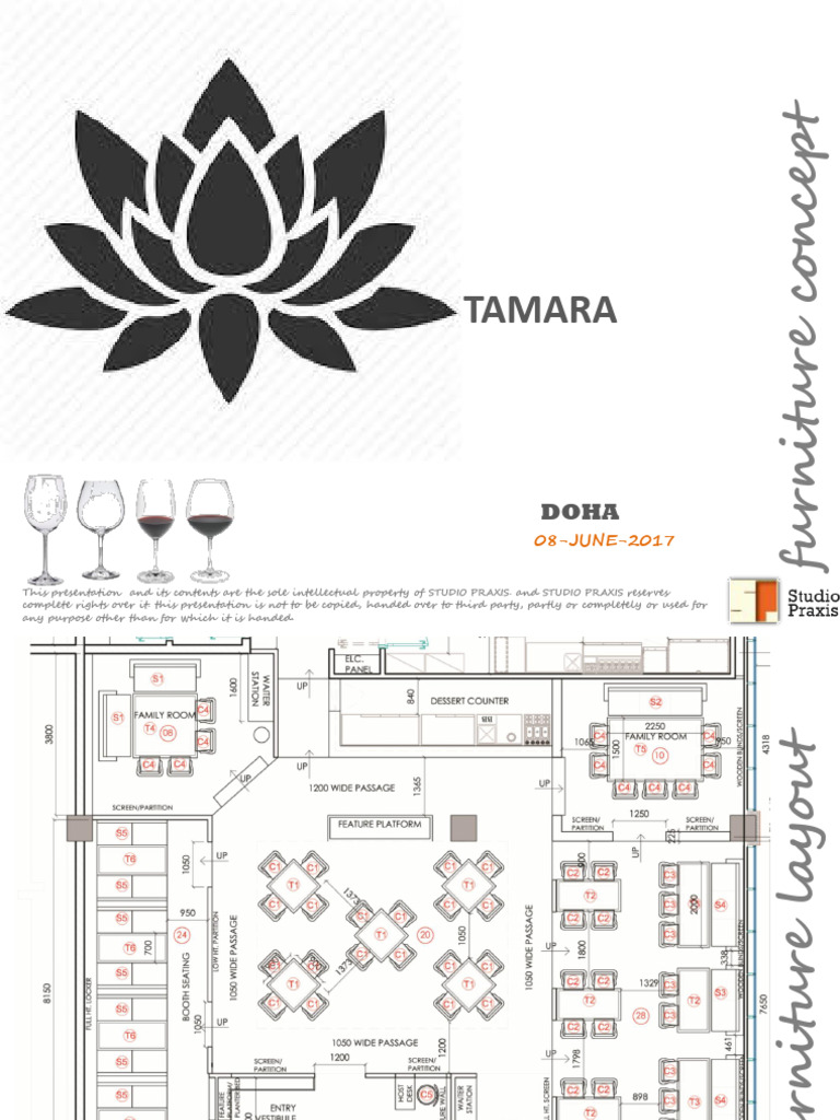 Tamara Furniture Layout Concepts | PDF