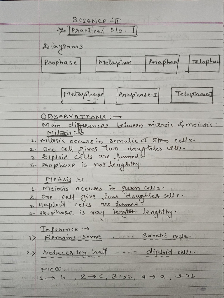 Science Sec. 2, practicals 1,2,3,4,6,7,8,12. | PDF