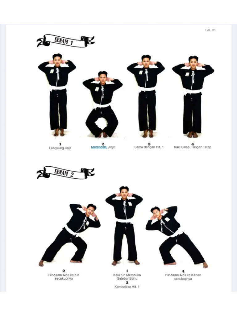 PDFReader 20250108 1246 | PDF