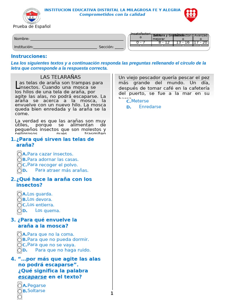 Prueba Diagnóstica 3º Español (2011) | PDF | Araña