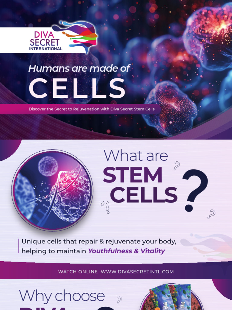 Discover Diva Secret Stem Cells Benefits | PDF
