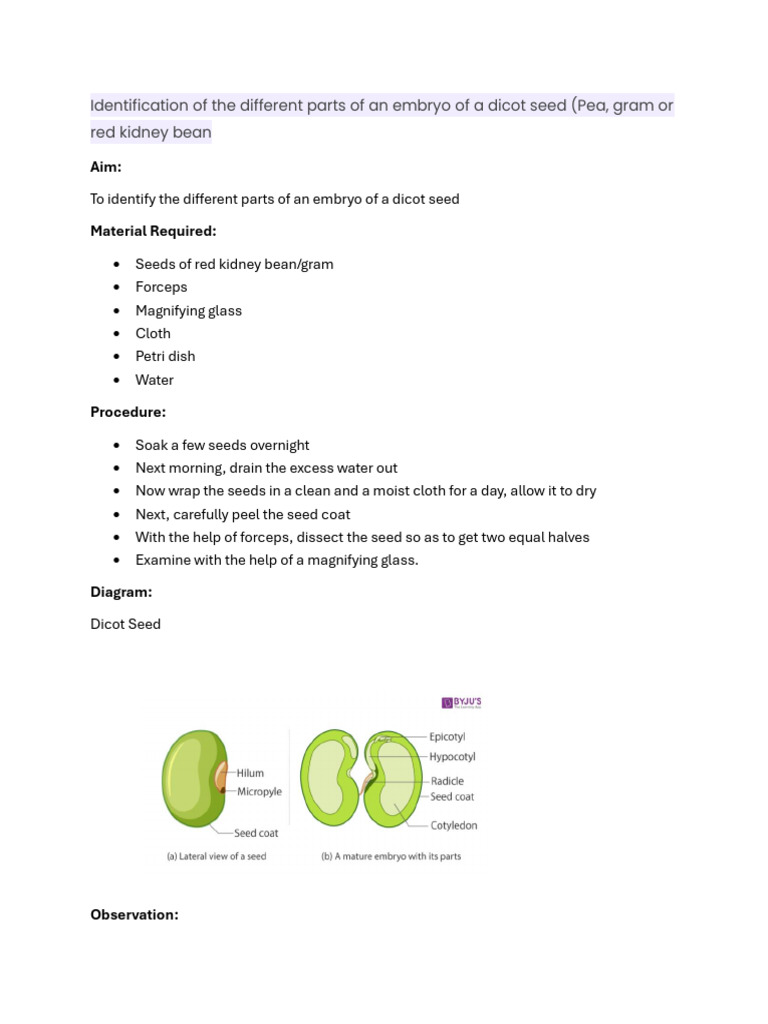 Identification of The Different Parts of An Embryo of A Dicot Seed (Pea, Gram or Red Kidney Bean ...