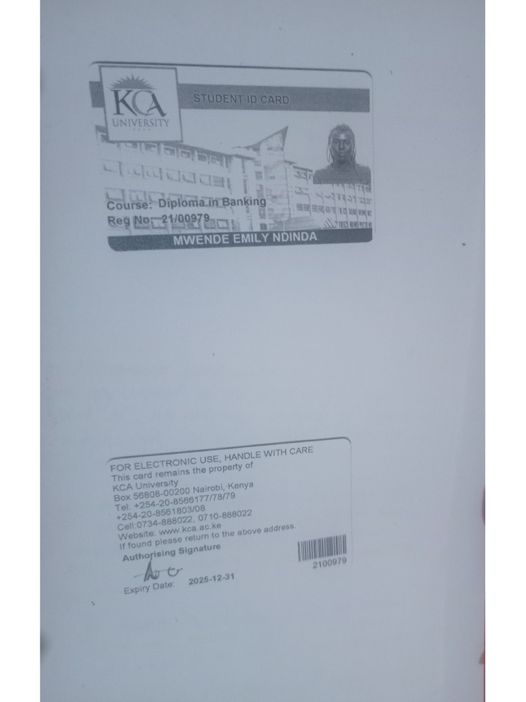 PDFReader 20250118 1924 | PDF