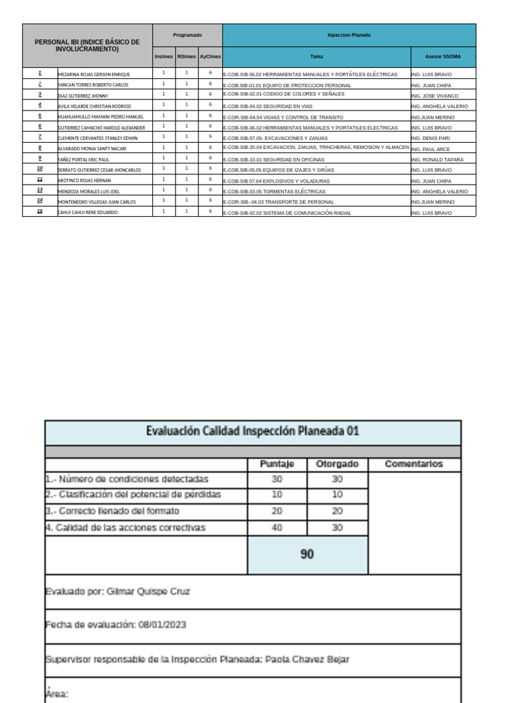 Programacion Inspecciones Planeadas Enero | PDF Programacion Inspecciones Planeadas Enero | PDF