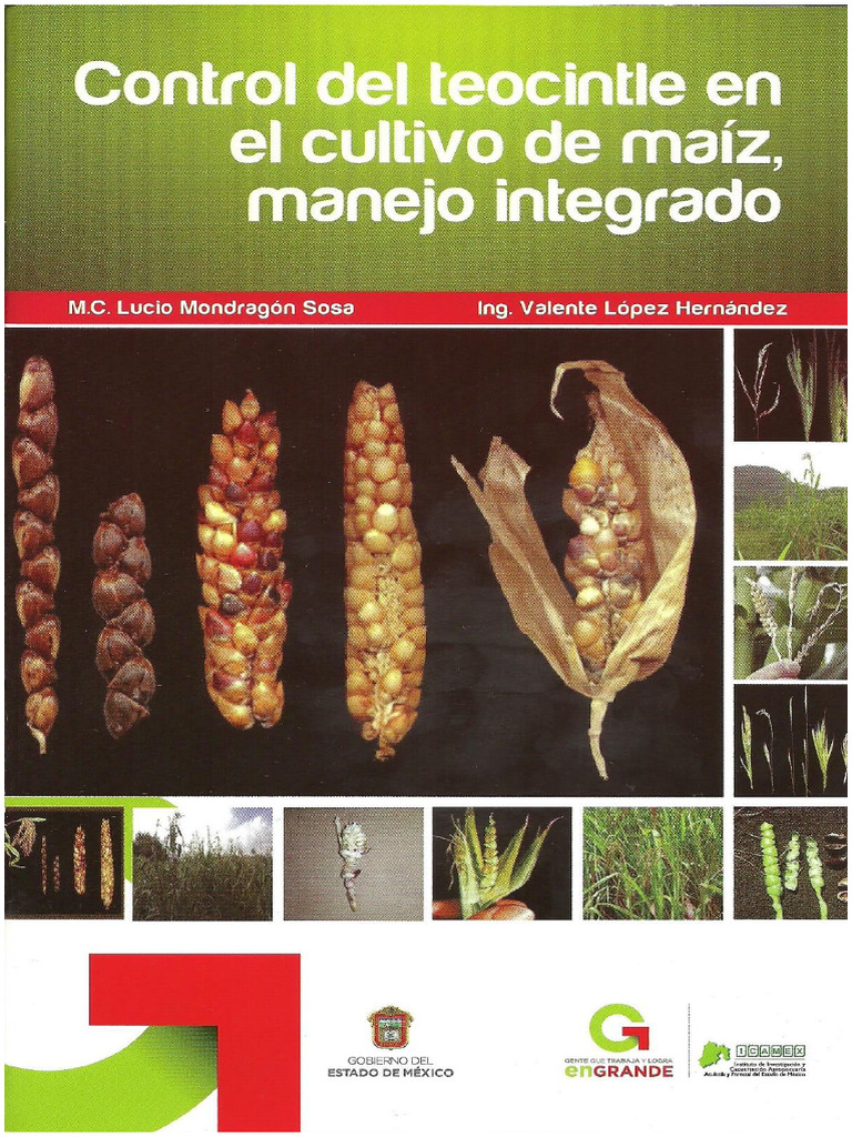 Control Teocintle | PDF