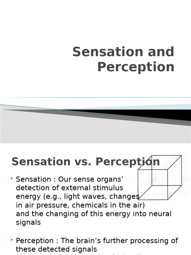 Lecture12a Sensation and Perception | PDF | Senses | Perception