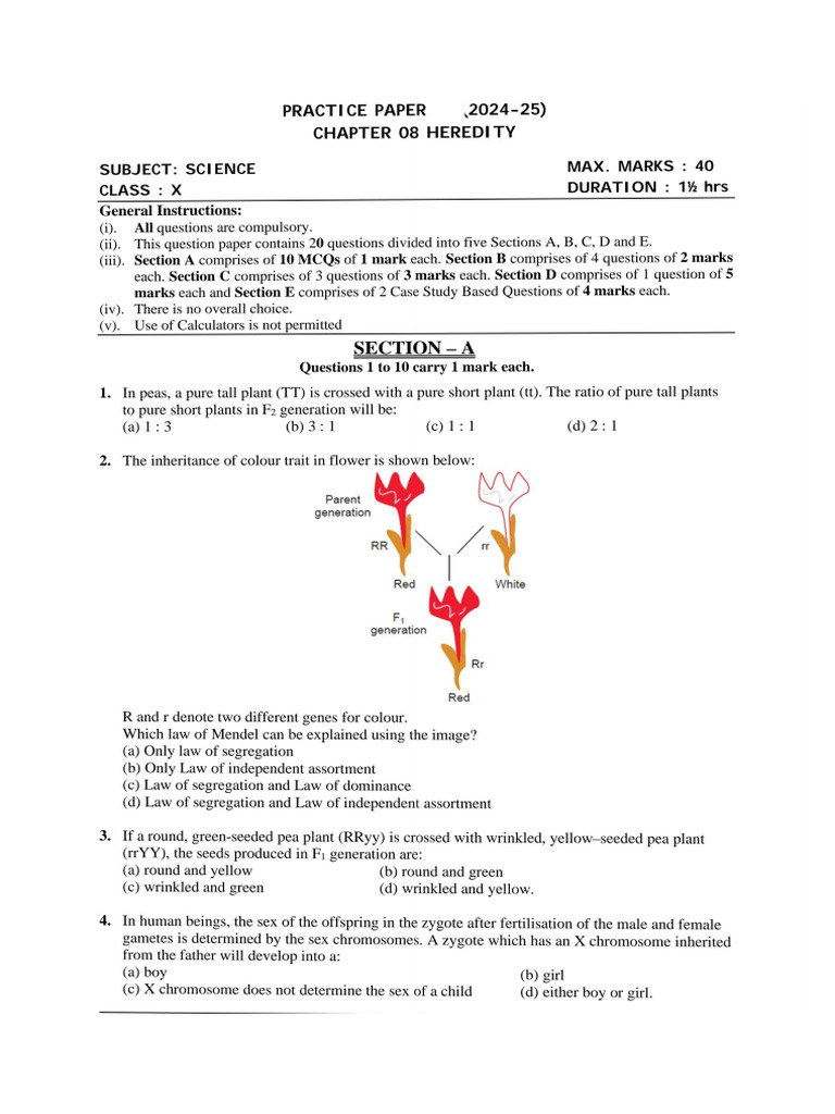 Science Class X Chapter 08 Heredity Practice Paper 2024 | PDF