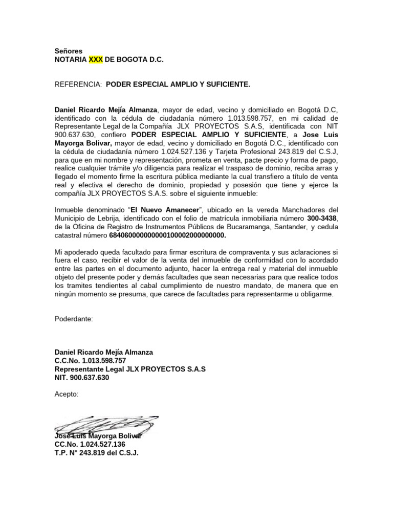 Poder Especial Amplio y Suficiente | PDF