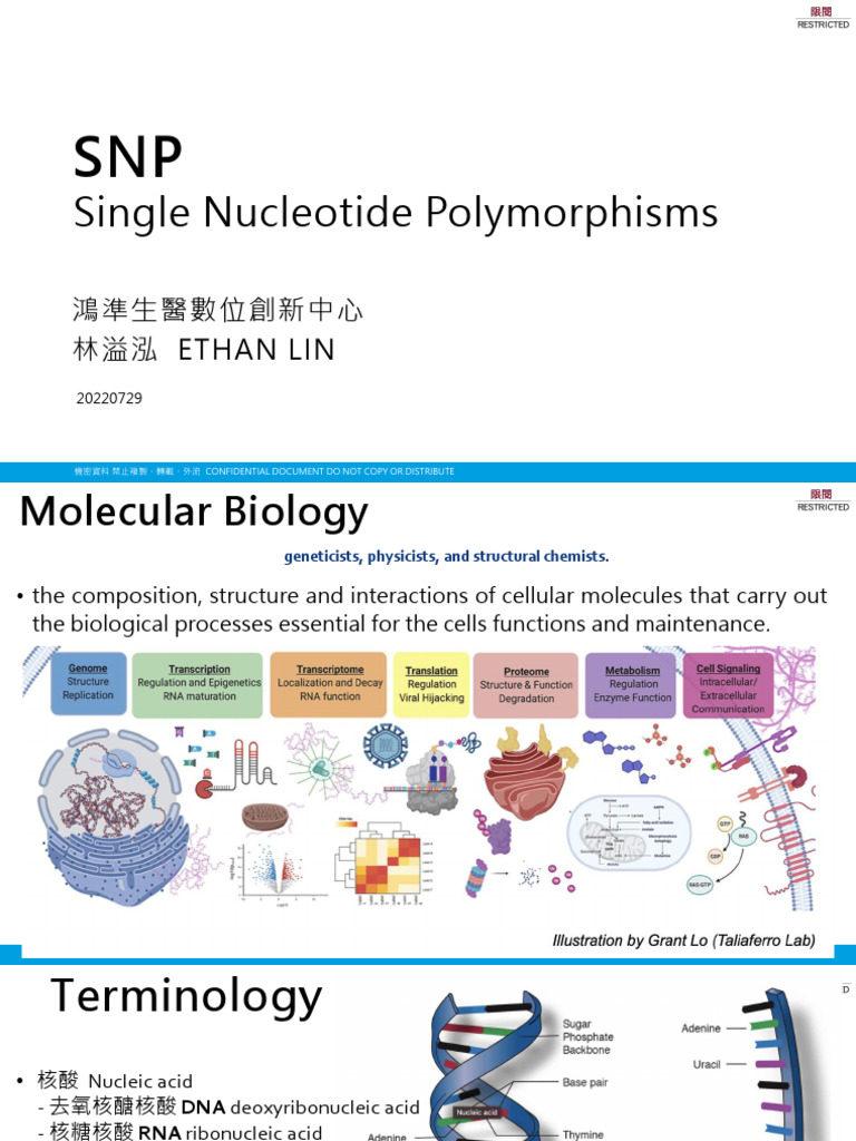 單核苷酸多態性 (Single-nucleotide Polymorphism) | PDF