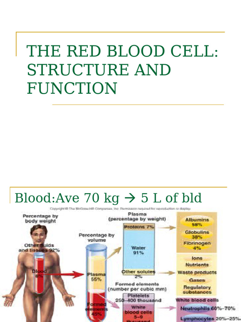 03 RBC Structure and Function | PDF | Anemia | Red Blood Cell