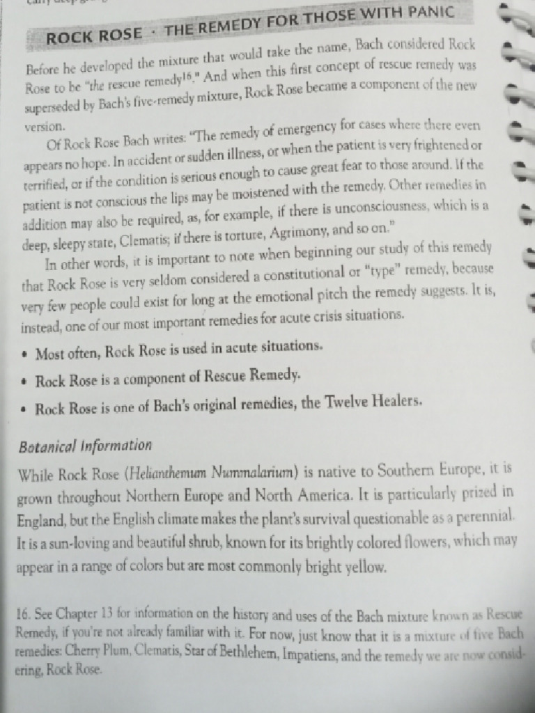 Rock Rose Roro | PDF