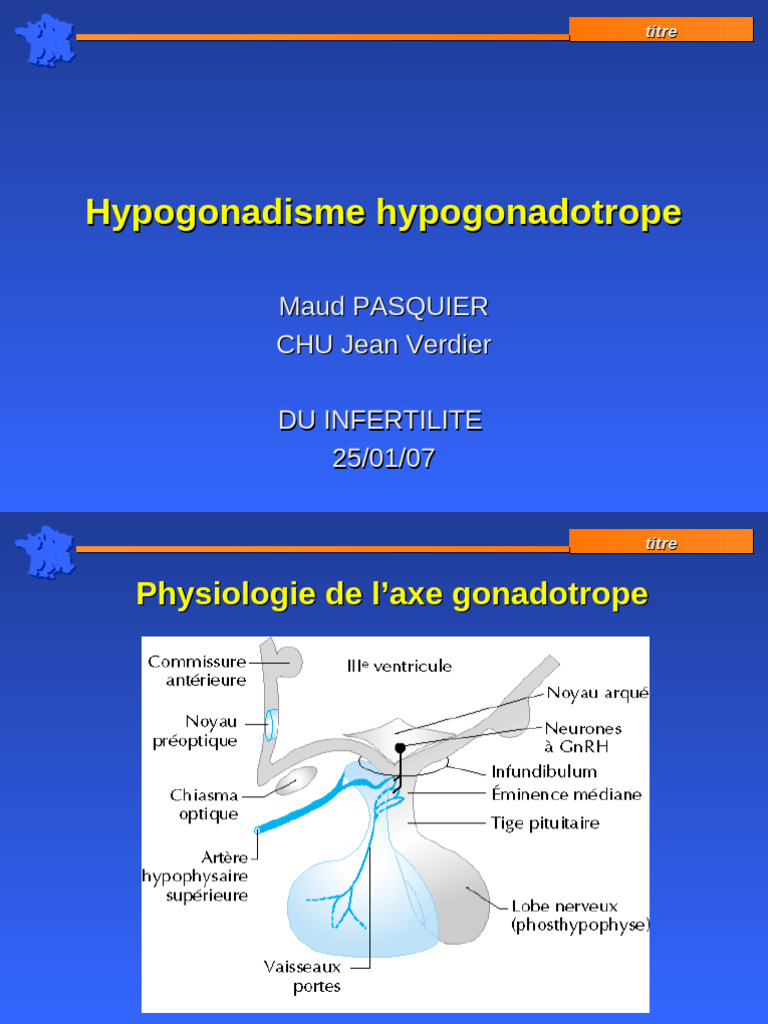 diagnostic-de-l-hypogonadisme-hypogonadotrope-pdf-androg-ne