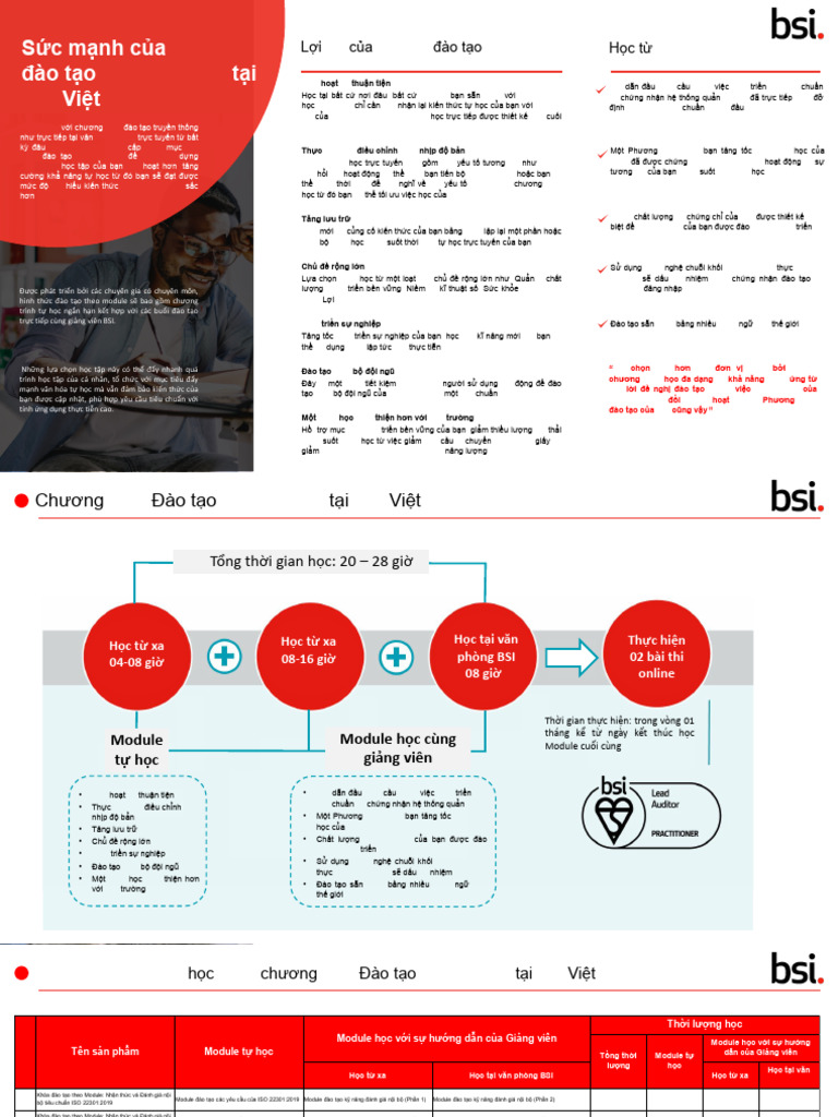 VN Brochure Module Training 2306 | PDF
