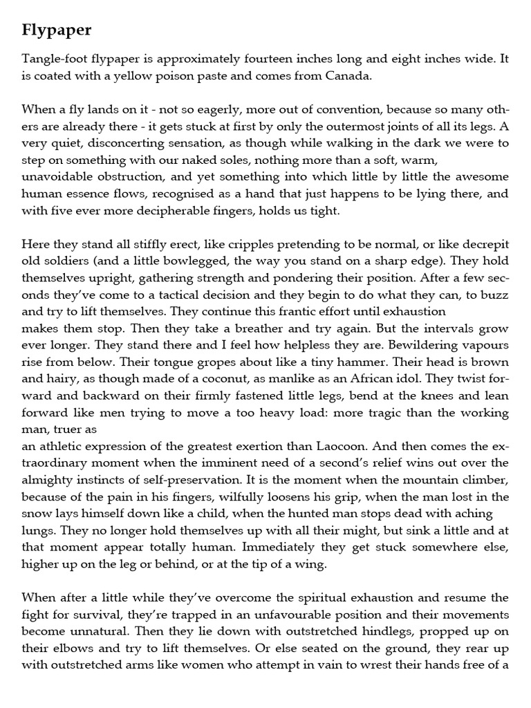 musil : Flypaper | PDF