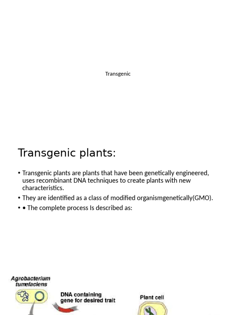 Presentation (1) Ddsa | PDF