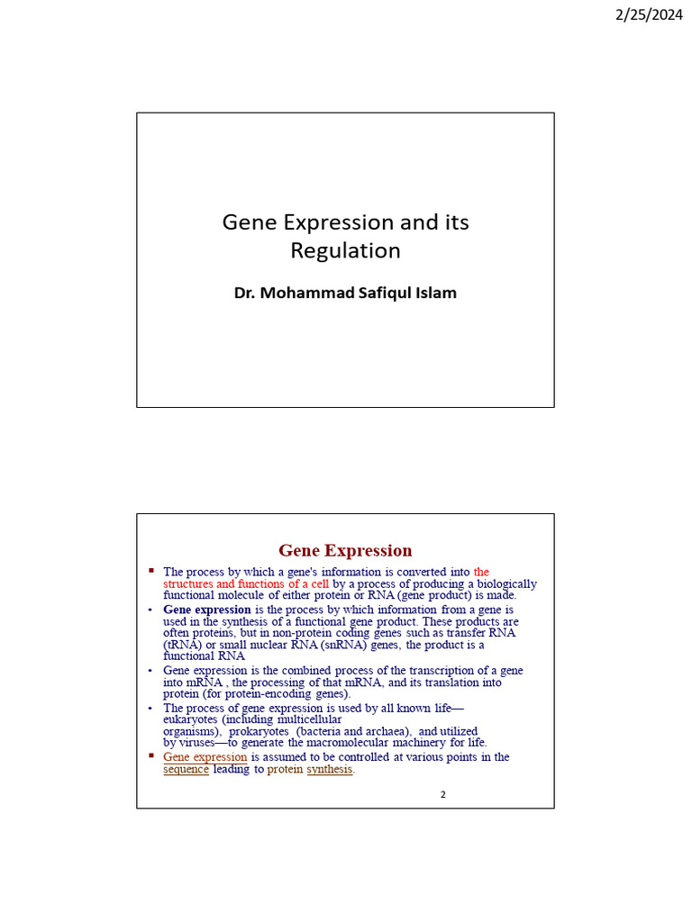 Gene Expression - NSTU - 2024 | PDF | Rna | Gene Expression