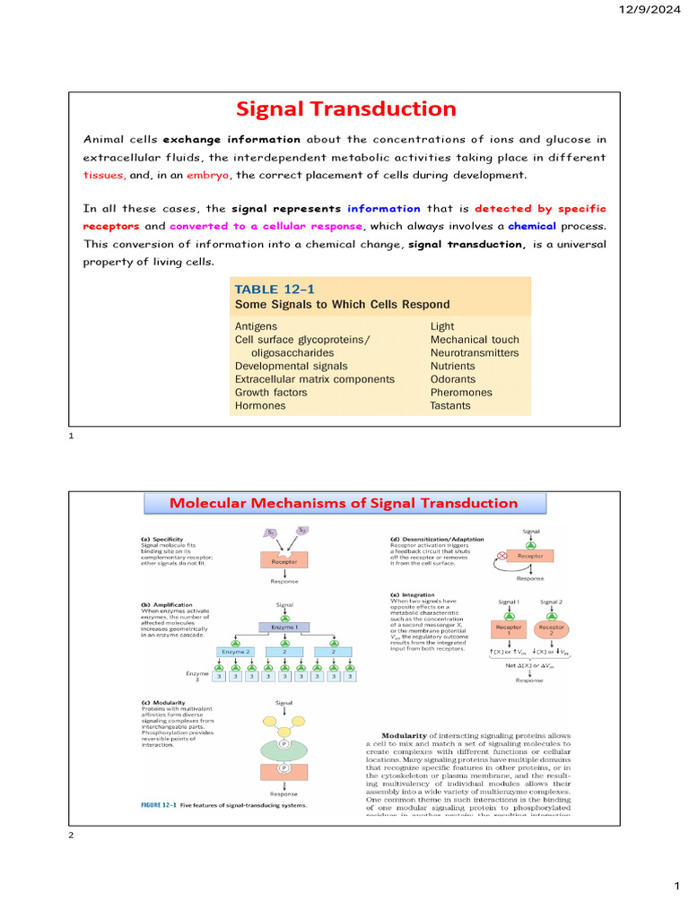 Understanding Signal Transduction Mechanisms | PDF | Ion Channel | Cell ...