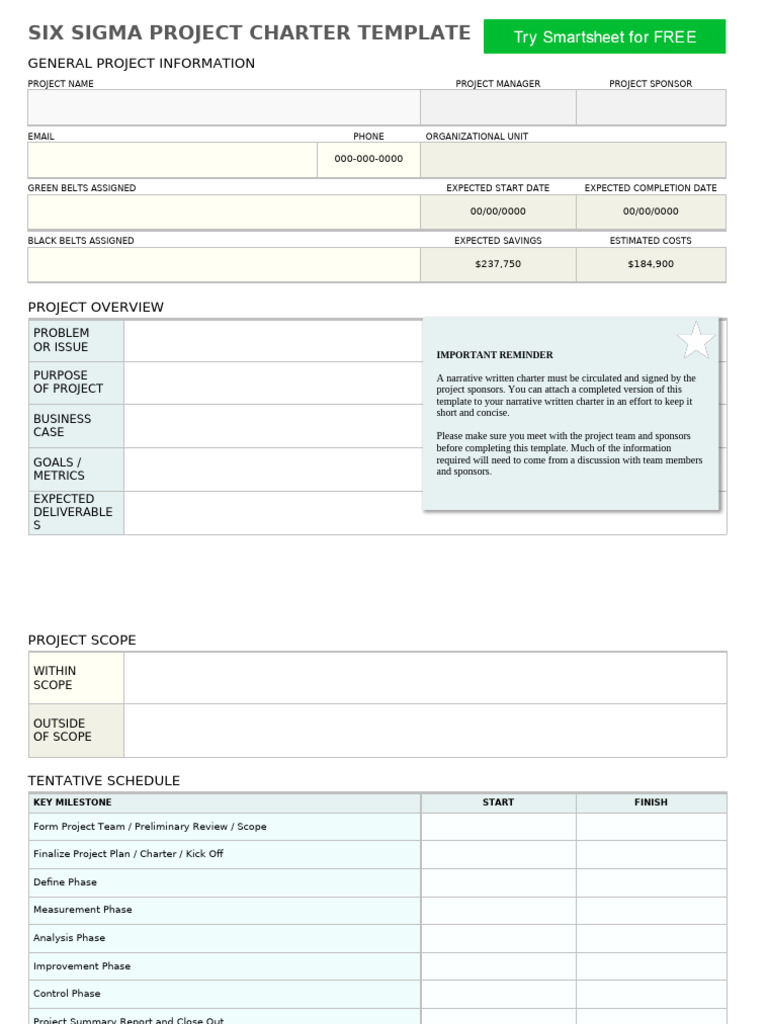 IC Six Sigma Project Charter 8556 - WORD | PDF | Reliability ...