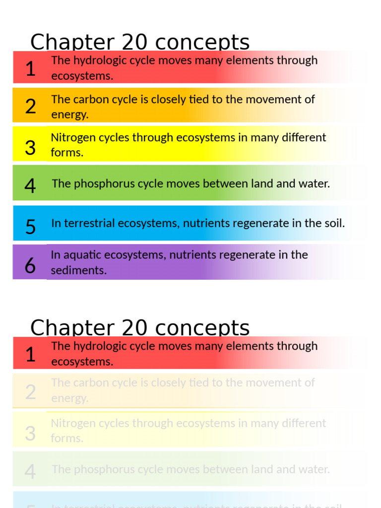 Ch. 20 Movement of matter | PDF | Ecosystem | Decomposition
