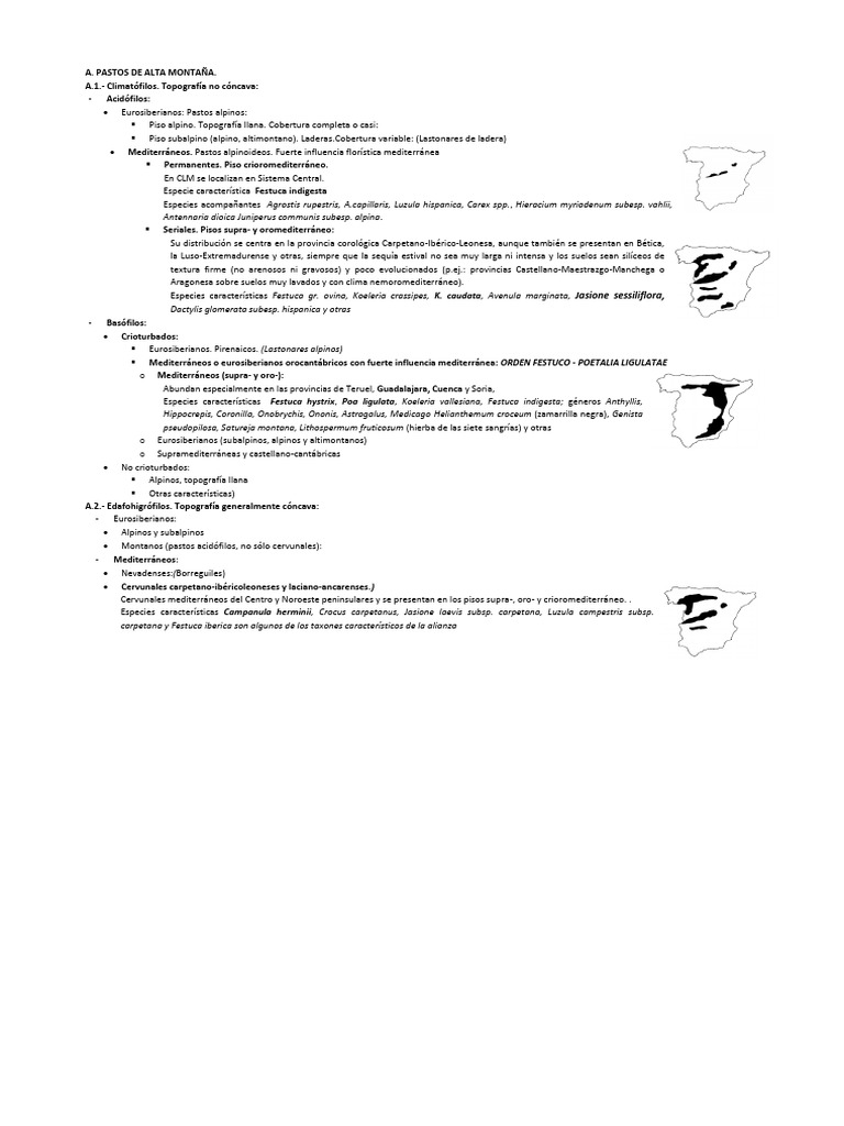Esquema Corto T10 | PDF | Prado