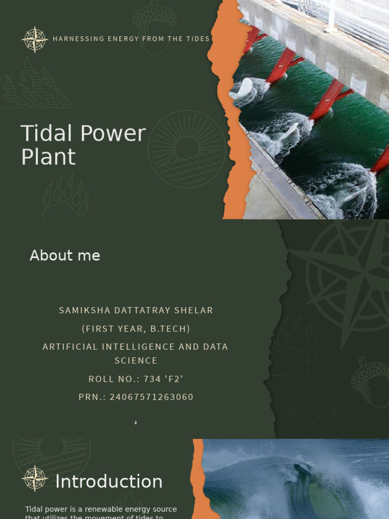 Tidal Power Plant | PDF