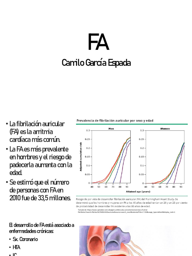 Fibrilación Auricular: Causas y Tratamiento | PDF | Electrocardiografia ...